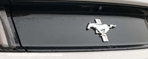 378 Ford Mustang Names: Male & Female Ideas (Cute, Badass…) – Motor ...